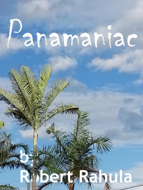 Books by Robert Rahula | robertrahula.com